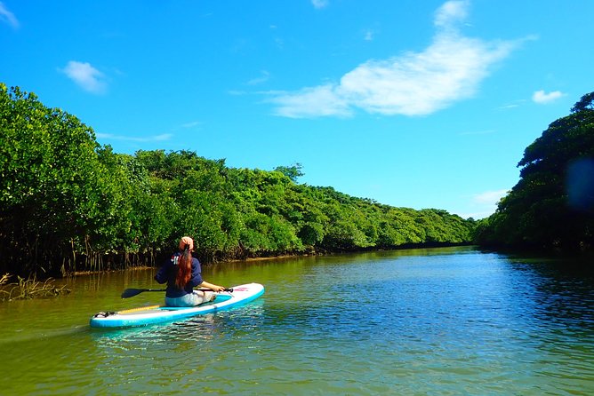 [Ishigaki]Mangrove SUP/Canoe Tour - Personalized Attention and Group Size