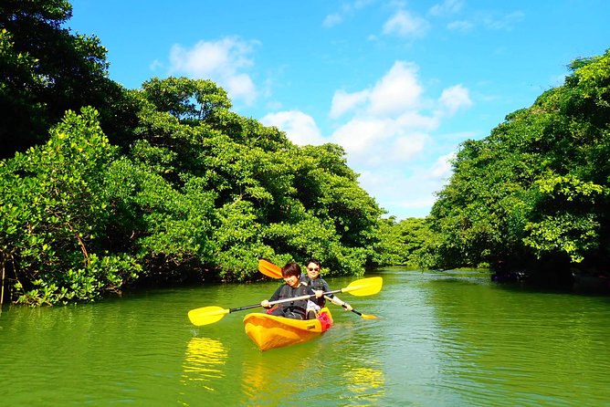 [Ishigaki]Mangrove SUP/Canoe Tour - Included Equipment and Amenities