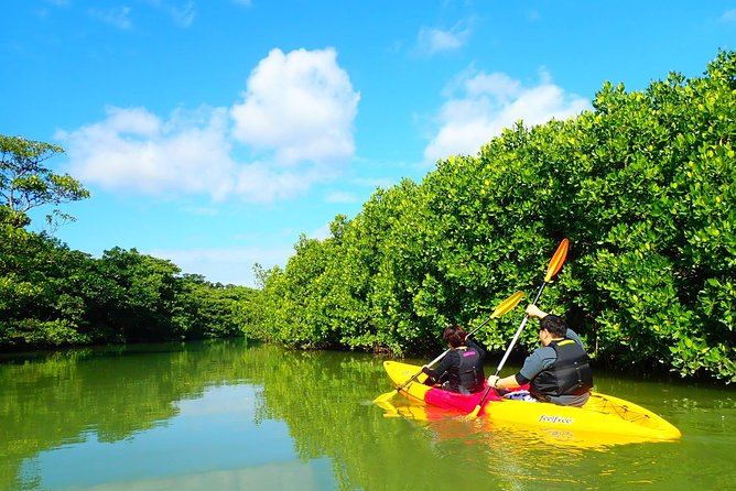 [Ishigaki]Mangrove SUP/Canoe Tour - Meeting Point and Pickup Service