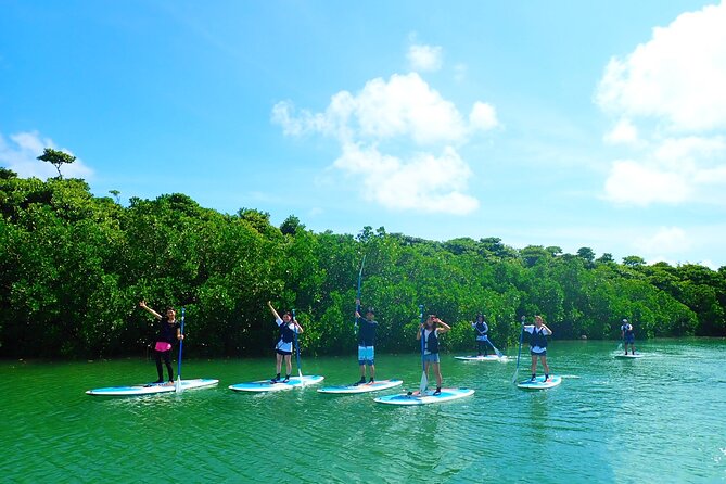 [Ishigaki]Mangrove SUP/Canoe Tour - Participant Considerations and Restrictions