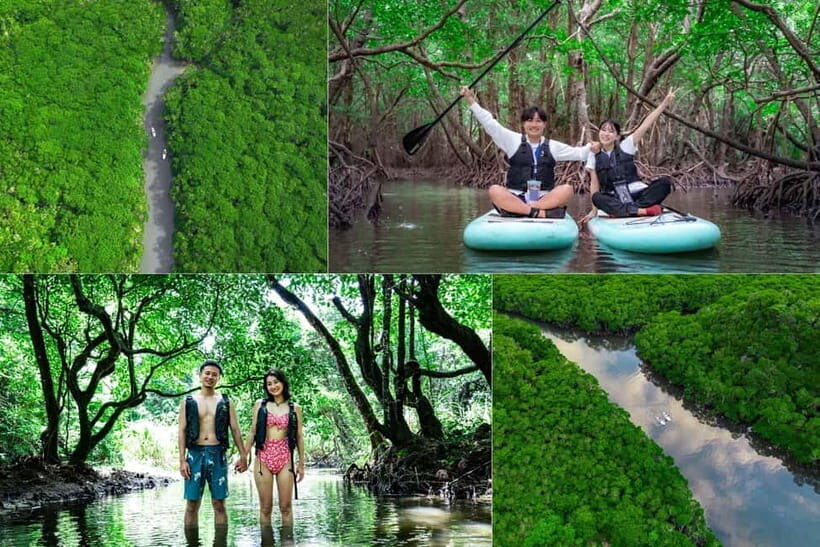 Ishigaki:Mangrove&Sea SUP/Kayak Tour with SLR&Drone footage - An In-Depth Look at the Ishigaki Mangrove & Sea Tour