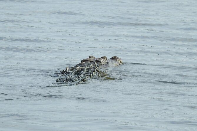Isla Blanca wildlife expedition private bike & boat tour cancun mexico - Practical Tips for Making the Most of Your Tour