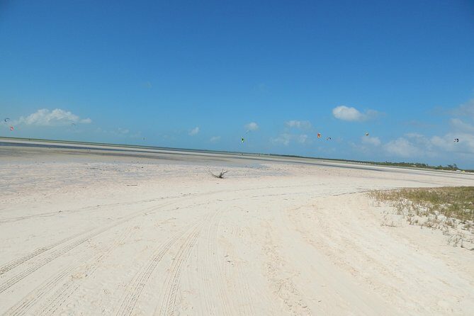 Isla Blanca wildlife expedition private bike & boat tour cancun mexico - The Sum Up: A Quiet, Authentic Day in Nature