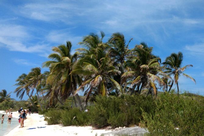 Isla Contoy and Isla Mujeres Tour with Snorkeling from Cancun - What to Expect from the Tour