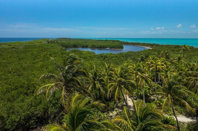 Isla Contoy and Isla Mujeres Tour with Snorkeling from Cancun - Final Thoughts