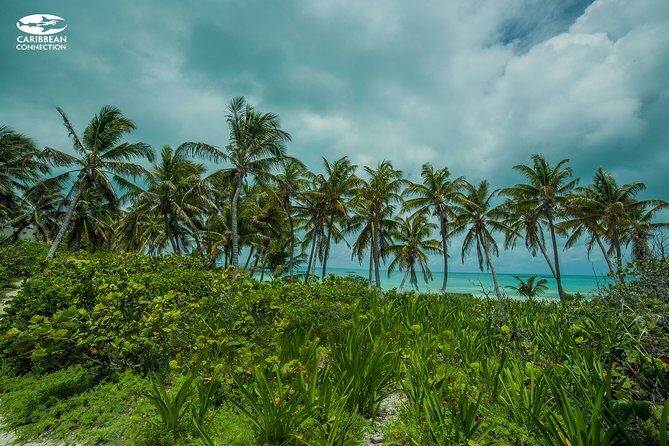 Isla Contoy Eco Adventure - Who Will Love This Tour?