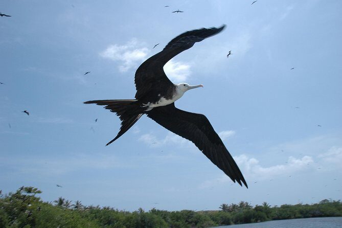 Isla Contoy Eco Adventure - FAQs