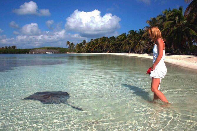 Isla Contoy Hidden Beauty! With Round Transportation From Cancun & Riviera Maya - Who Will Love This Tour?