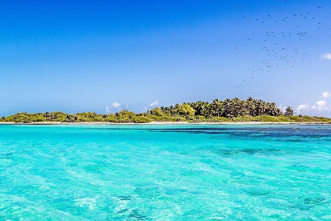 Isla Contoy Incredible Tour! Round Transportation From Cancun & Playa Del Carmen - Real Experiences from Past Travelers