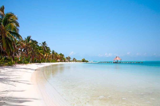 Isla Contoy Incredible Tour! Round Transportation From Cancun & Playa Del Carmen - Final Thoughts: Is This Tour Right for You?