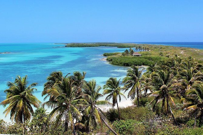 Isla Contoy & Isla Mujeres Tour from Cancun & Playa Del Carmen - The Itinerary in Detail: What to Expect