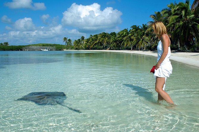 Isla Contoy & Isla Mujeres Tour from Cancun & Playa Del Carmen - Transportation: Comfort and Group Size