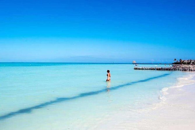 Isla Contoy & Isla Mujeres Tour from Cancun & Playa Del Carmen - Visitor Experiences: What Travelers Say