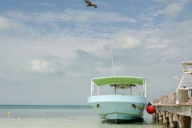 Isla Contoy Private Day Tour, from Cancun - An In-Depth Look at the Isla Contoy Private Tour