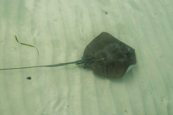 Isla Contoy Private Day Tour, from Cancun - Is This Tour Worth It?