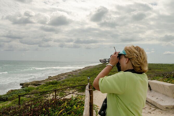 Isla Contoy Private Day Tour, from Cancun - The Sum Up