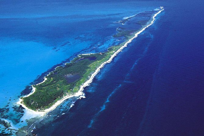 Isla Contoy & Shopping tour in Isla Mujeres from Cancun & Riviera Maya - Pickup and Transportation from Cancun or Playa del Carmen