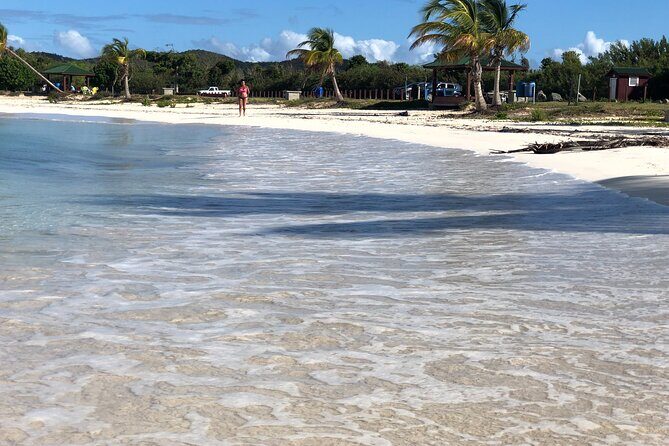 Isla de Vieques Beach Hopper Sightseeing Tour - Who Should Consider This Tour?