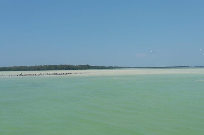 Isla Holbox Day Tour from Cancun with Lunch Included - The Sum Up