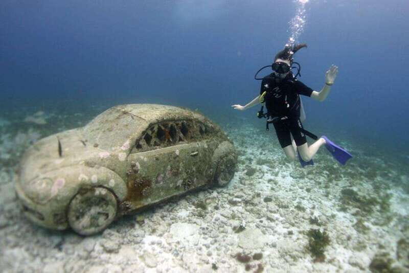 Isla Mujeres: 2-Tank Dive for Certified Divers - Practical Details