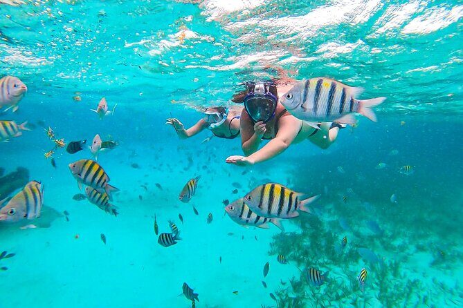 Isla Mujeres and Cancun Snorkeling and Fishing Combo - An In-Depth Look at the Isla Mujeres and Cancun Snorkeling & Fishing Tour