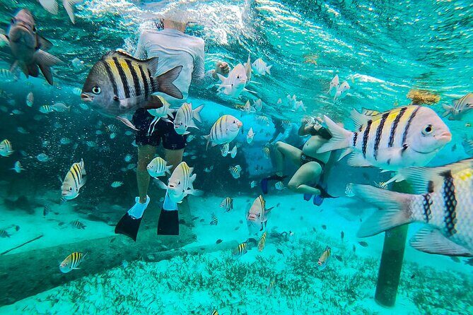 Isla Mujeres and Cancun Snorkeling and Fishing Combo - FAQs