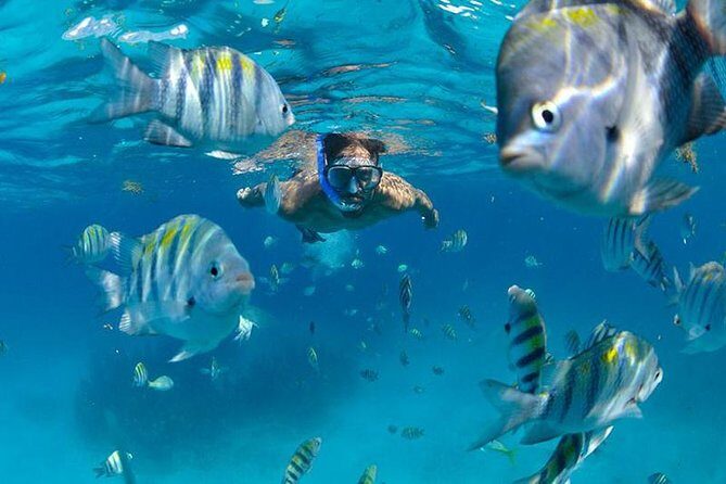 Isla Mujeres Catamaran Adventure All Inclusive from Cancun - Snorkeling and Marine Life
