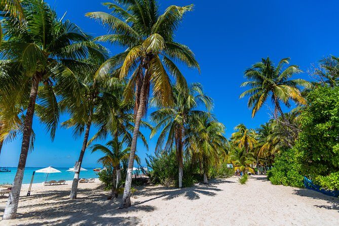 Isla Mujeres Catamaran, Open Bar & Optional Buffet and pick up - Final Thoughts