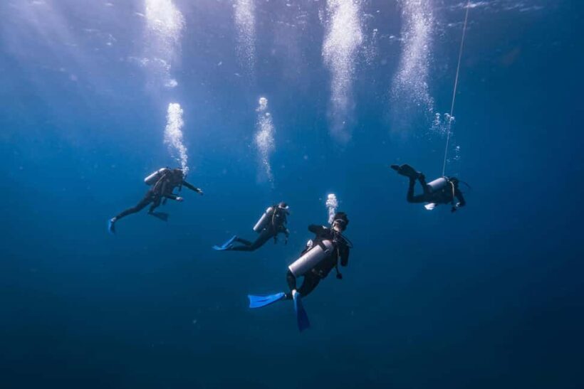Isla Mujeres: Catamaran Ride with Open Bar, Snorkeling, and Lunch - Setting Sail: What to Expect