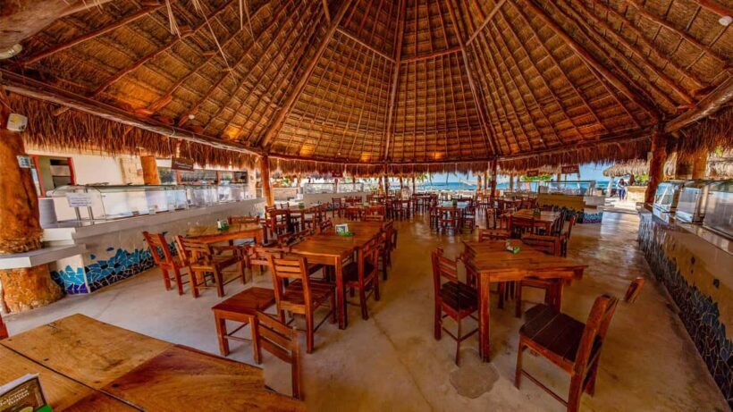 Isla Mujeres Catamaran, Snorkel & Buffet Lunch - Detailed Breakdown of the Day
