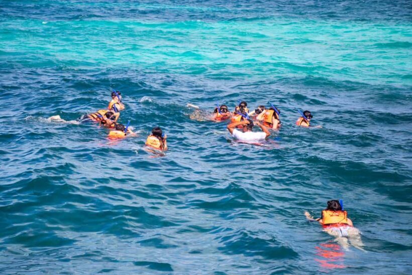 Isla Mujeres Catamaran, Snorkel & Buffet Lunch - Who Should Consider This Tour?