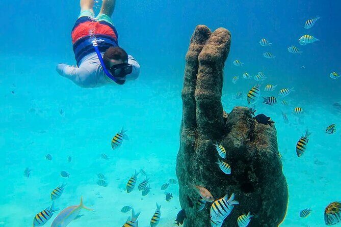 Isla Mujeres Catamaran Tour - An In-Depth Look at the Isla Mujeres Catamaran Tour