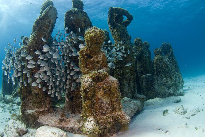 Isla Mujeres Catamaran Tour with Snorkeling at MUSA, Buffet Lunch & Open Bar - Practical Tips for Travelers
