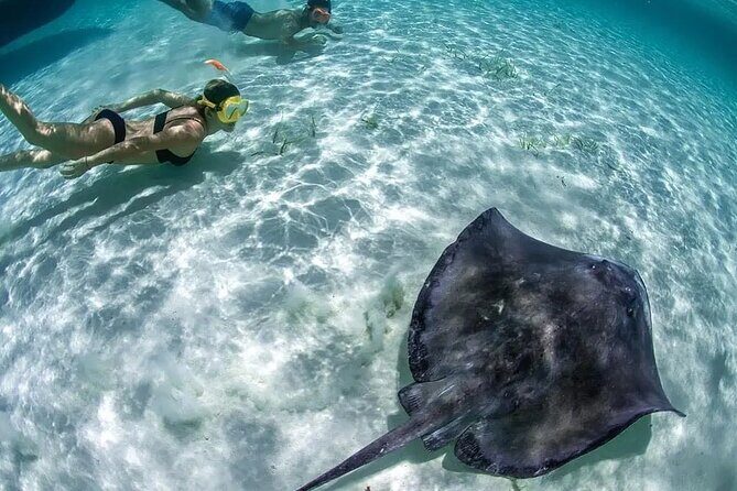 Isla Mujeres: Coral Reef Views from a Clear Boat - Key Points