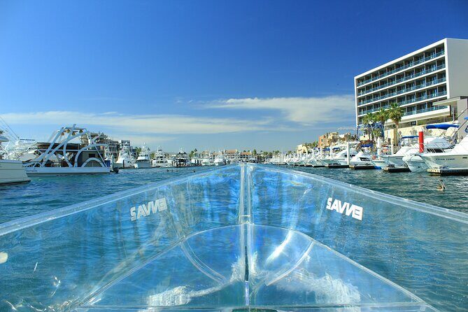 Isla Mujeres: Coral Reef Views from a Clear Boat - What Travelers Say: Authentic Perspectives