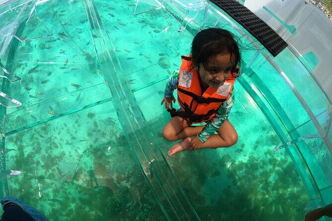Isla Mujeres: Coral Reef Views from a Clear Boat - Final Thoughts: A Quick but Memorable Marine Encounter
