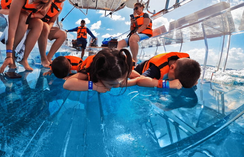Isla Mujeres: Excursion Crystal Boat Tour at the Caribbean - Authentic Marine Encounters: What Travelers Say