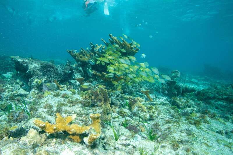 Isla Mujeres: Full Day Private Catamaran with Snorkeling - The Sum Up: Who Is This Tour For?