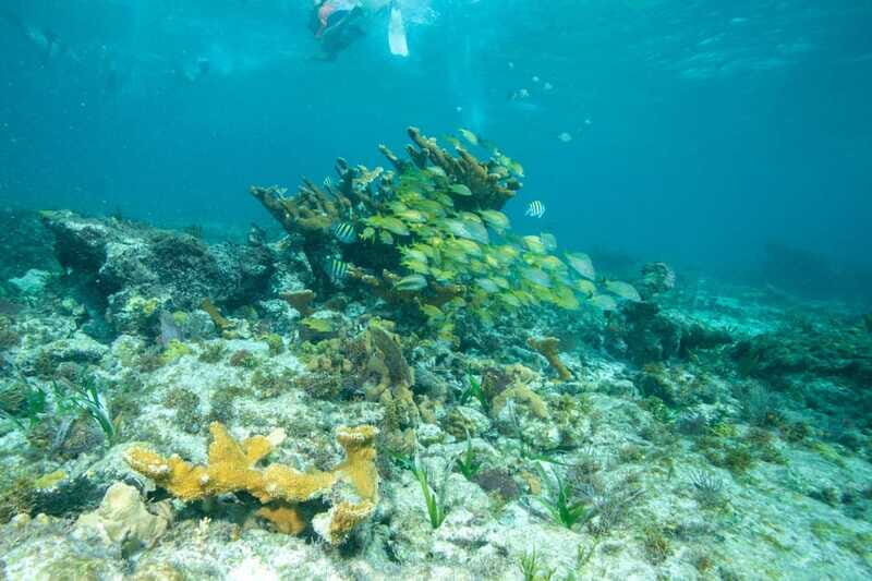 Isla Mujeres: Full Day Private Catamaran with Snorkeling - FAQ