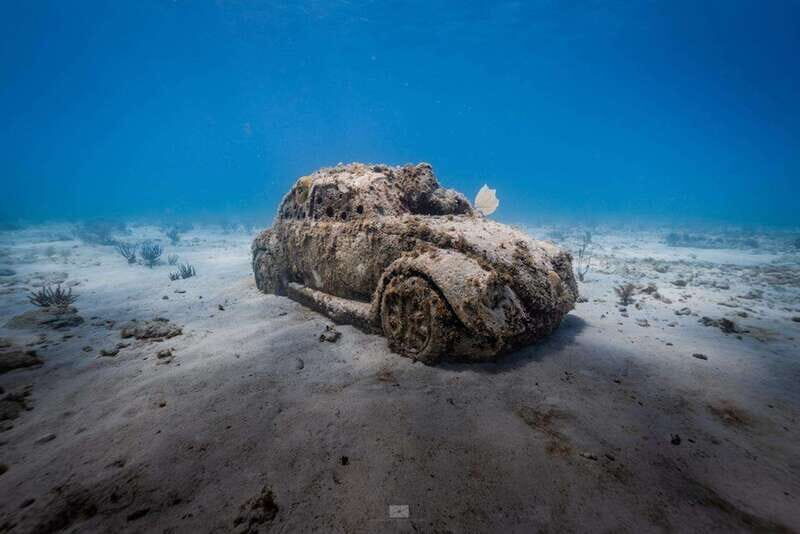 Isla Mujeres: MUSA and the Manchones Reef: 2 Tank Dive Tour - Why It’s Worth Considering