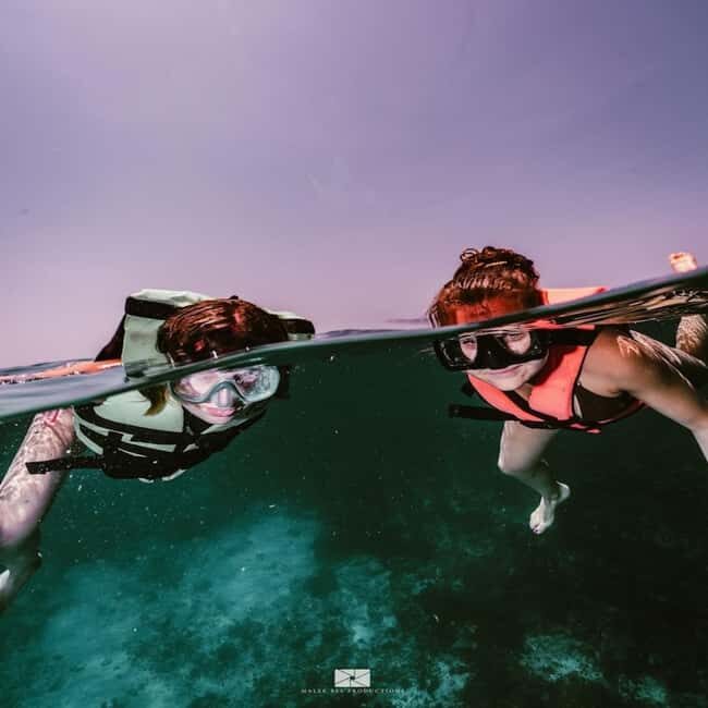 Isla Mujeres - MUSA and the Manchones Reef - Snorkel - An In-Depth Look at the Tour Experience