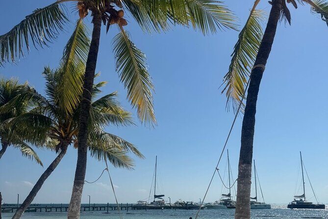 Isla Mujeres Plus Tour with Snorkeling Buffet and Open Bar - Authentic Experiences and Traveler Feedback