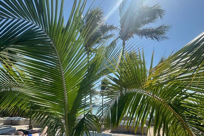 Isla Mujeres Plus Tour with Snorkeling Buffet and Open Bar - Practical Advice for Future Travelers