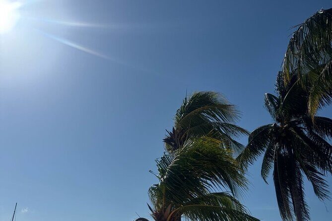 Isla Mujeres Plus Tour with Snorkeling Buffet and Open Bar - FAQs About the Isla Mujeres Plus Tour