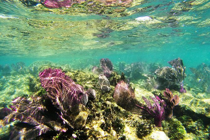 Isla Mujeres Private Dream Getaway - An In-Depth Look at the Isla Mujeres Private Dream Getaway