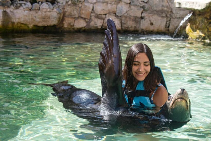 Isla Mujeres: Sea Lion & Manatee Interaction with Buffet - Navigating the Experience: What You Can Expect
