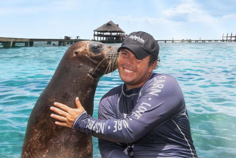 Isla Mujeres: Sea Lion & Manatee Interaction with Buffet - Final Thoughts: Is It Worth It?