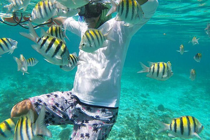 Isla Mujeres Snorkeling Adventure at the Underwater Museum - Final Thoughts: Who Will Love This Tour?