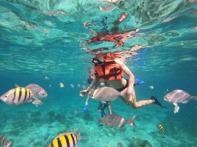 Isla Mujeres: Snorkeling Adventure at the Underwater Museum - What’s Included and What You Should Plan For