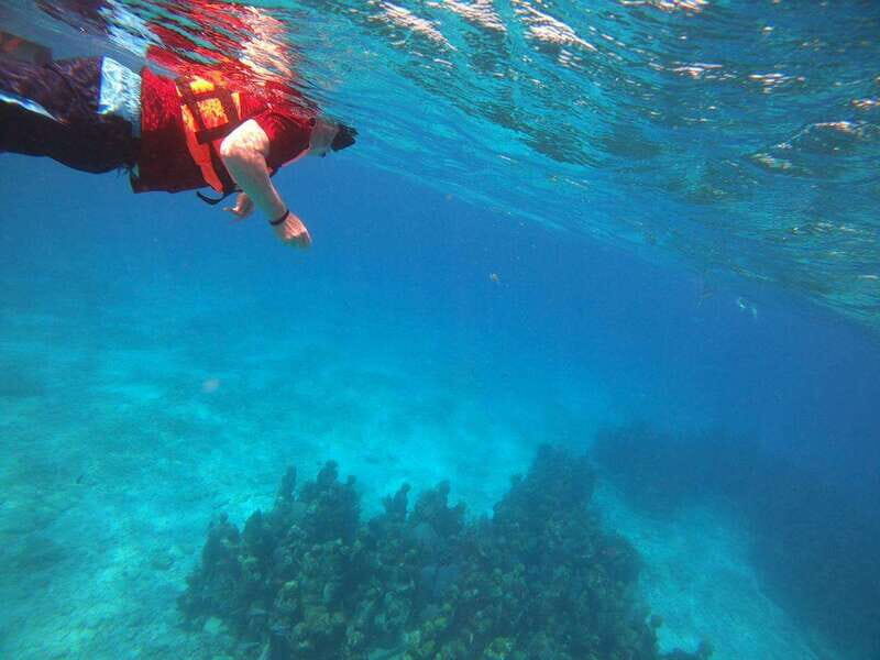 Isla Mujeres: Snorkeling Adventure at the Underwater Museum - Authentic Experiences and Genuine Feedback